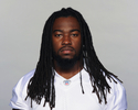 Dannell Ellerbe Stats | The Football Database