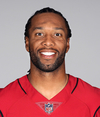 Larry Fitzgerald Stats | The Football Database