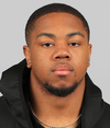 LaBryan Ray Stats | Carolina Panthers | The Football Database
