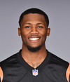 Tee Higgins Stats | Cincinnati Bengals | The Football Database