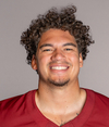 Cole Turner Stats | Miami Dolphins | The Football Database